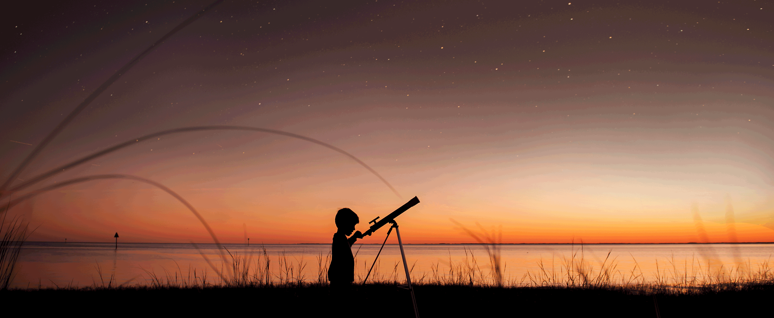 Solicita más información sobre WTW